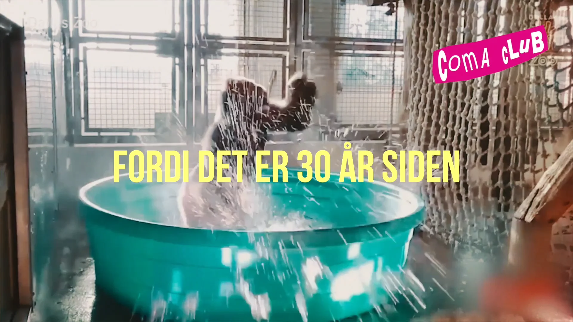 Coma Club 2018 - 30 year anniversary !! on Vimeo