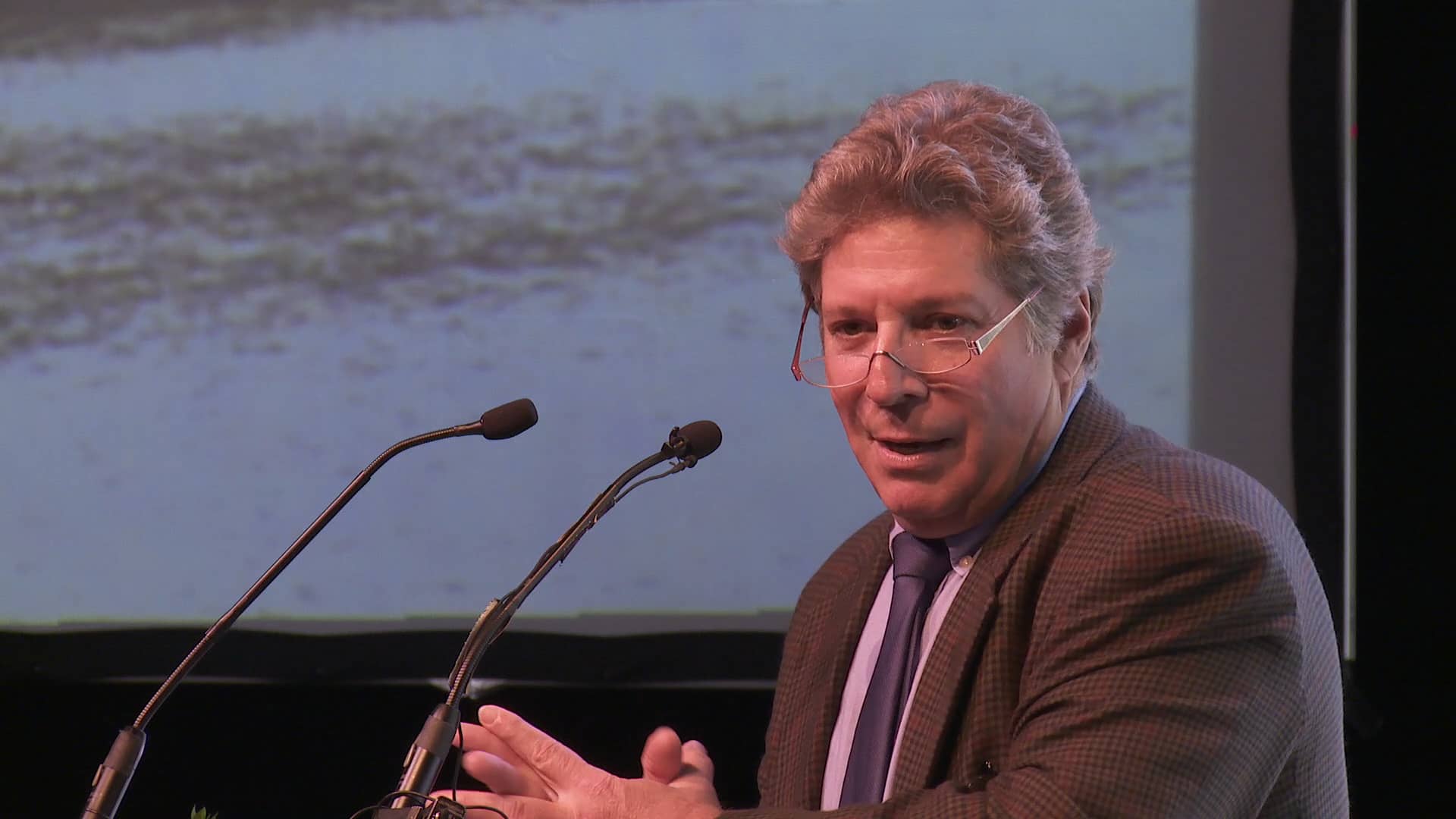 Harry Gulkin Memorial on Vimeo