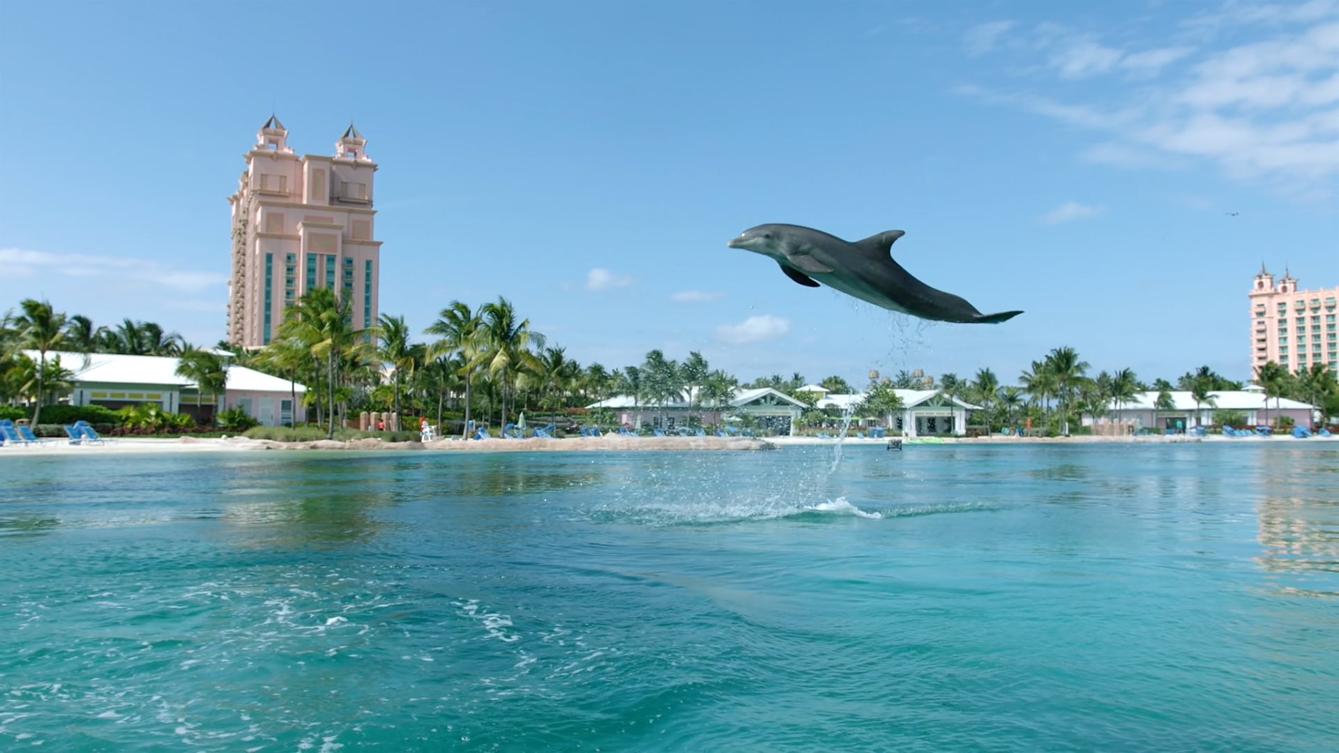 Those From Shallow Waters Short Docs - Ryan Dean // Those From Shallow ...