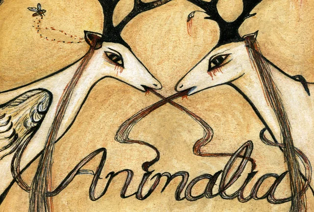 ANIMALIA ANIMATION, TRAILER on Vimeo