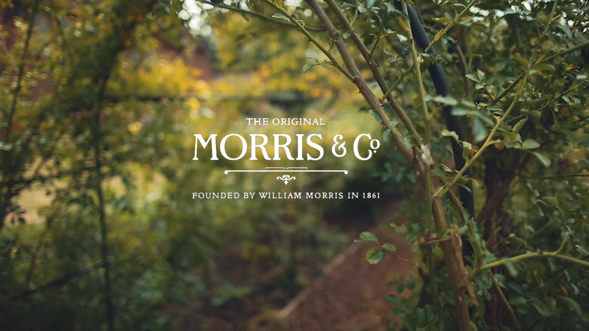 Morris & Co. Brand Film on Vimeo