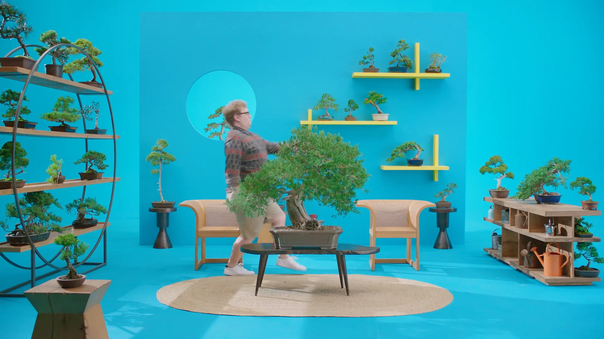 Google Fi - Bonsai on Vimeo