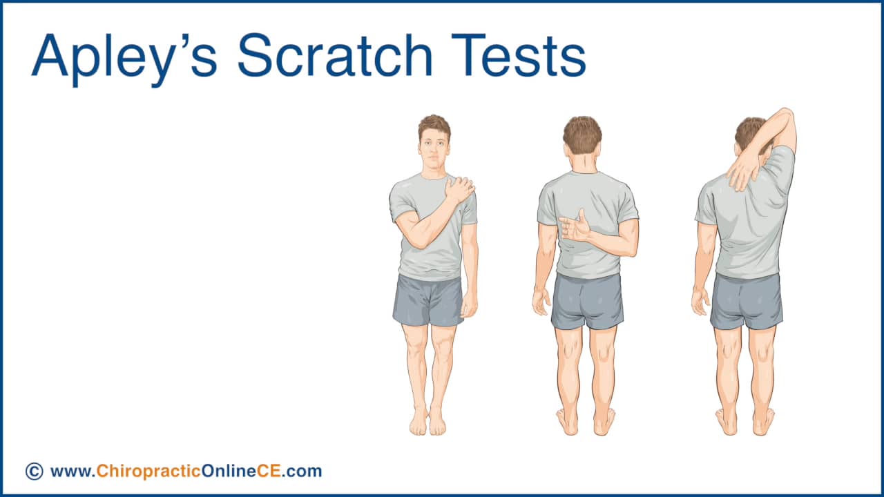 US-Apley’s Scratch Tests Video-2018 on Vimeo