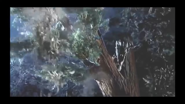 Hulk vs Monster Dogs - Fight Scene HD on Vimeo