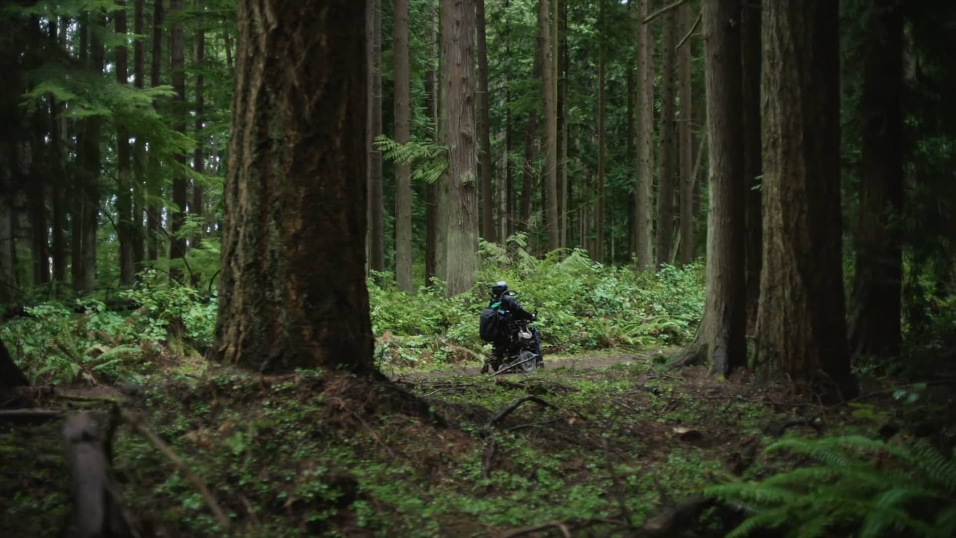 Designed for Ian M. — Apple on Vimeo