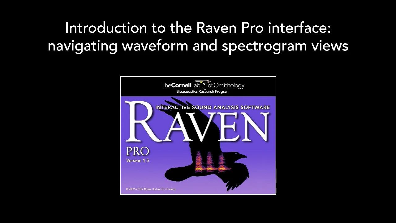 01: Introduction to Raven Pro (português) on Vimeo