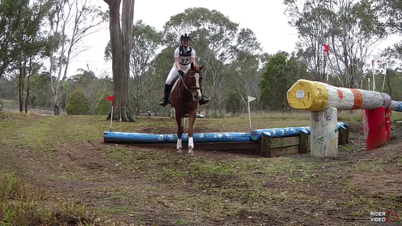 Erica Goodwin riding MR STANDOUT 37 EvA60 Sydney Eventing Spring ...