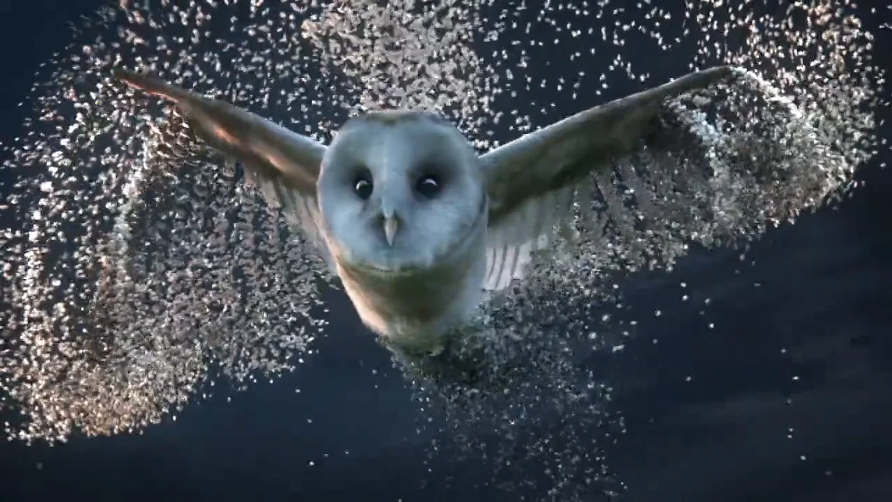 Owl ID for China's CCTV9 Documentary Channel on Vimeo