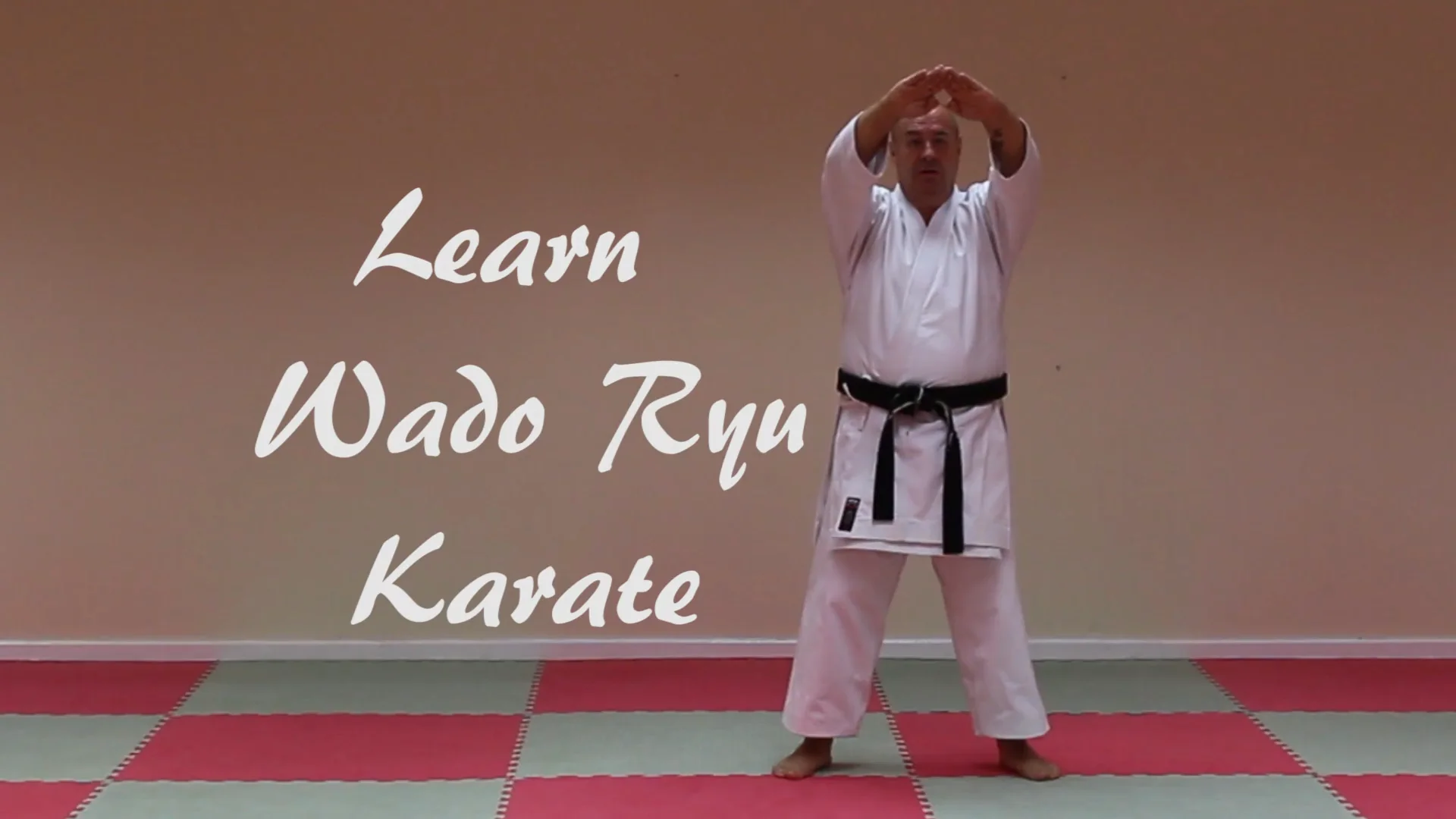 Watch Learn the Katas of Wado Ryu Online | Vimeo On Demand on Vimeo