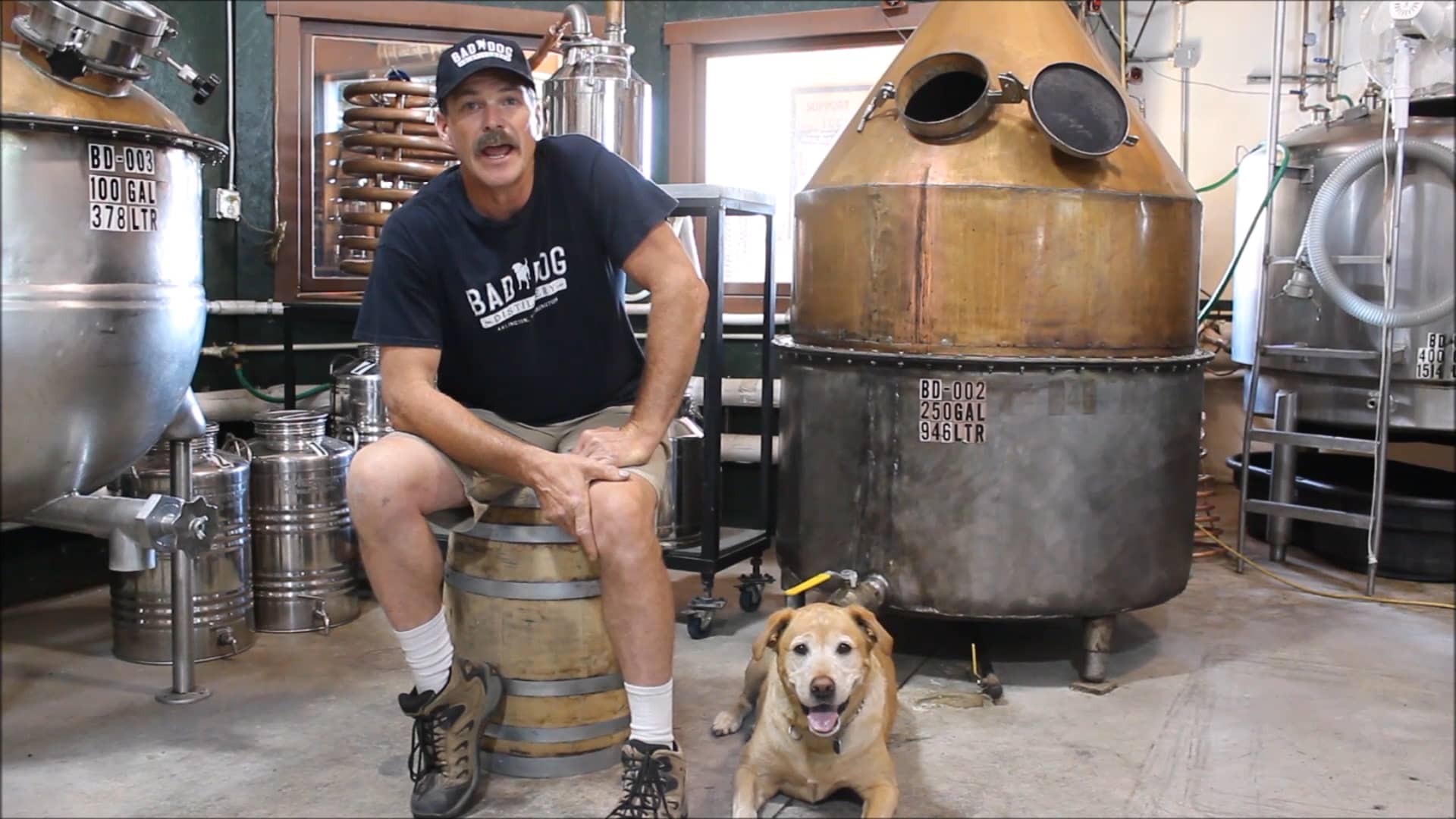 Bad Dog Distillery - Intro on Vimeo