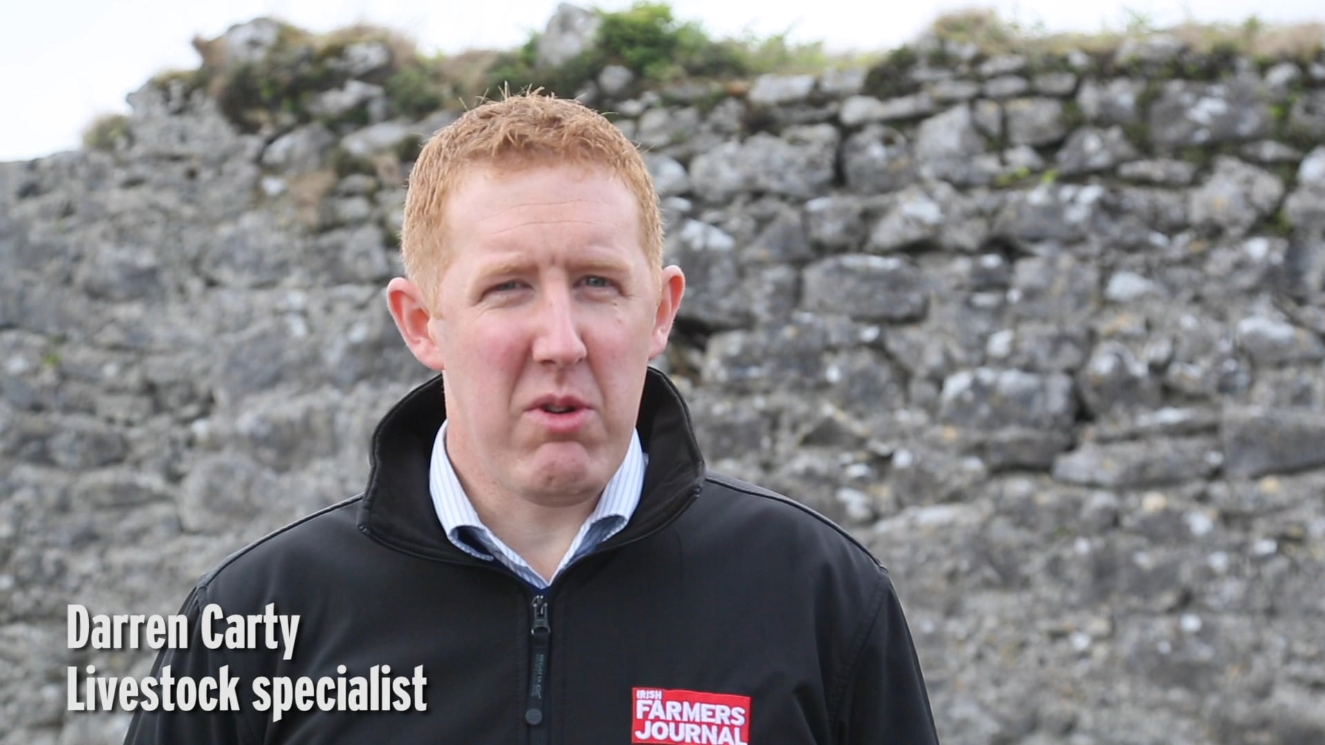 What to expect at the Ploughing livestock demo: Darren Carty on Vimeo