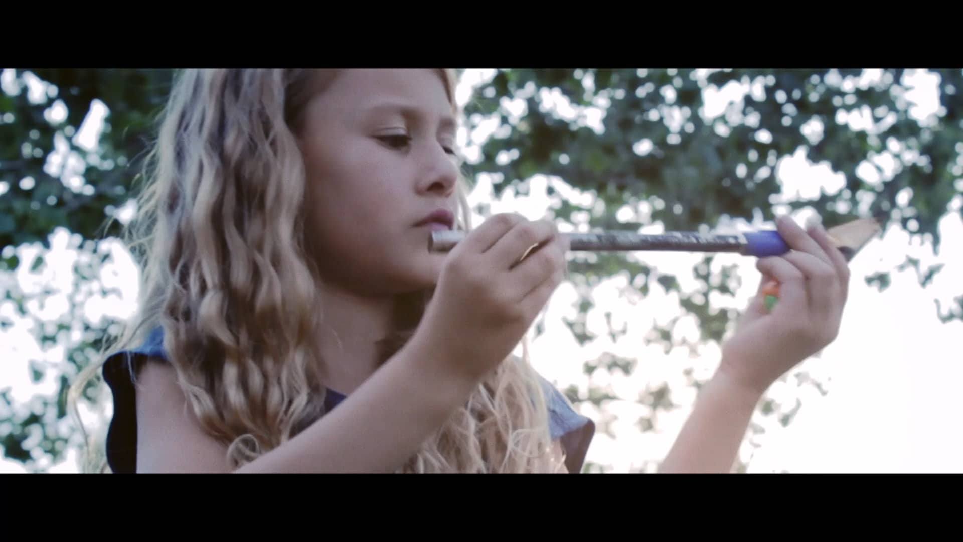 Penny Whistler Trailer by Robert Cuffley on Vimeo