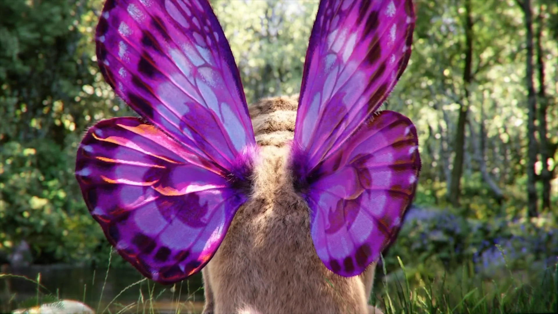 Puggerfly Case Study on Vimeo