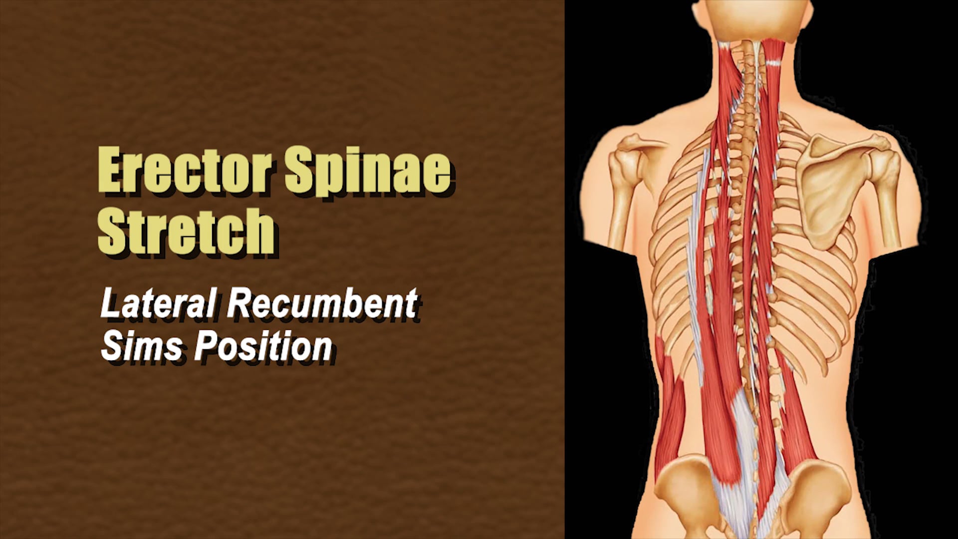 Erector Spinae Stretch on Vimeo