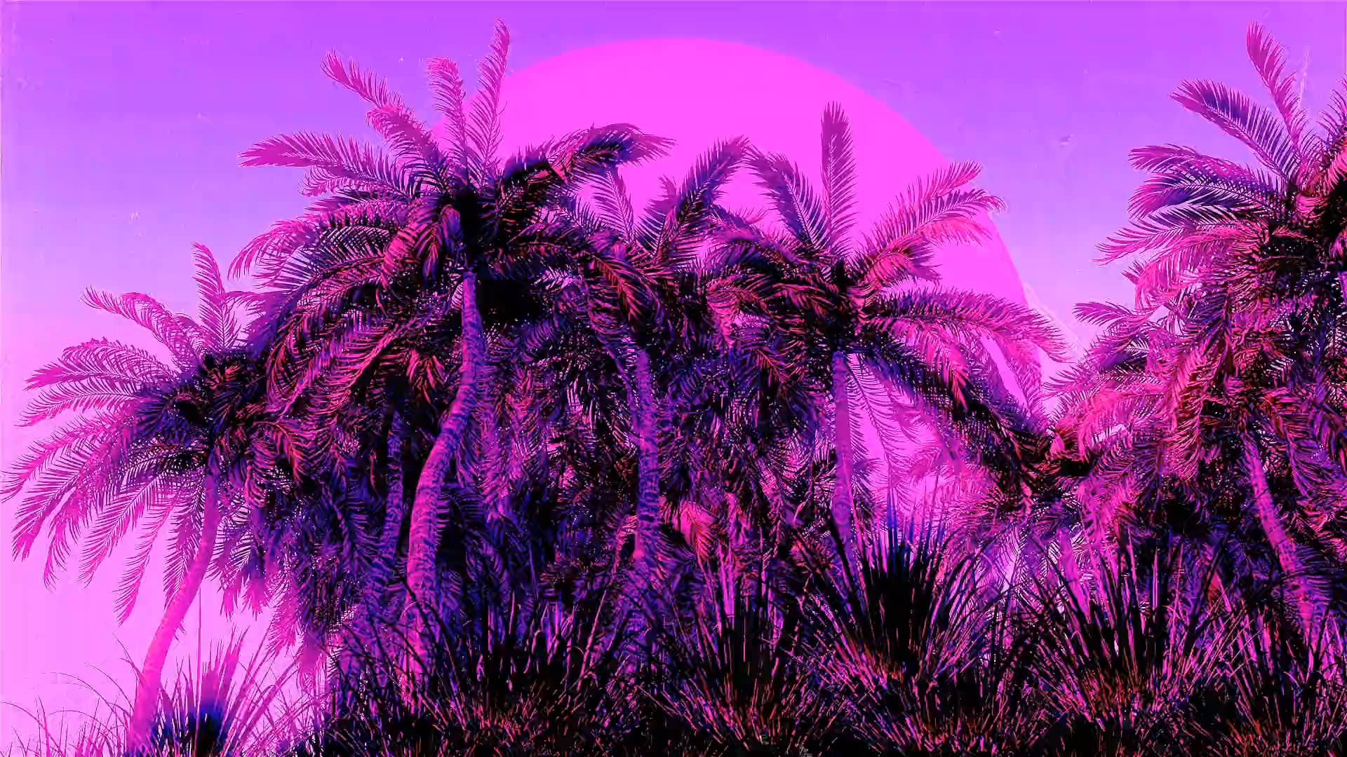 HOT-TROPICAL PINK (loop) on Vimeo