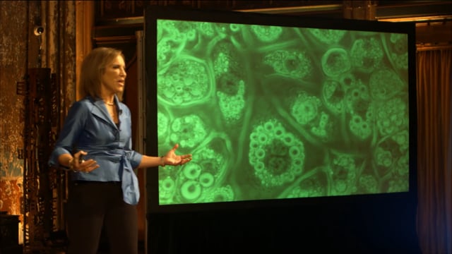 Dr. Pamela Peeke | Speaker Agency, Speaking Fee, Videos | SPEAKING.com ...