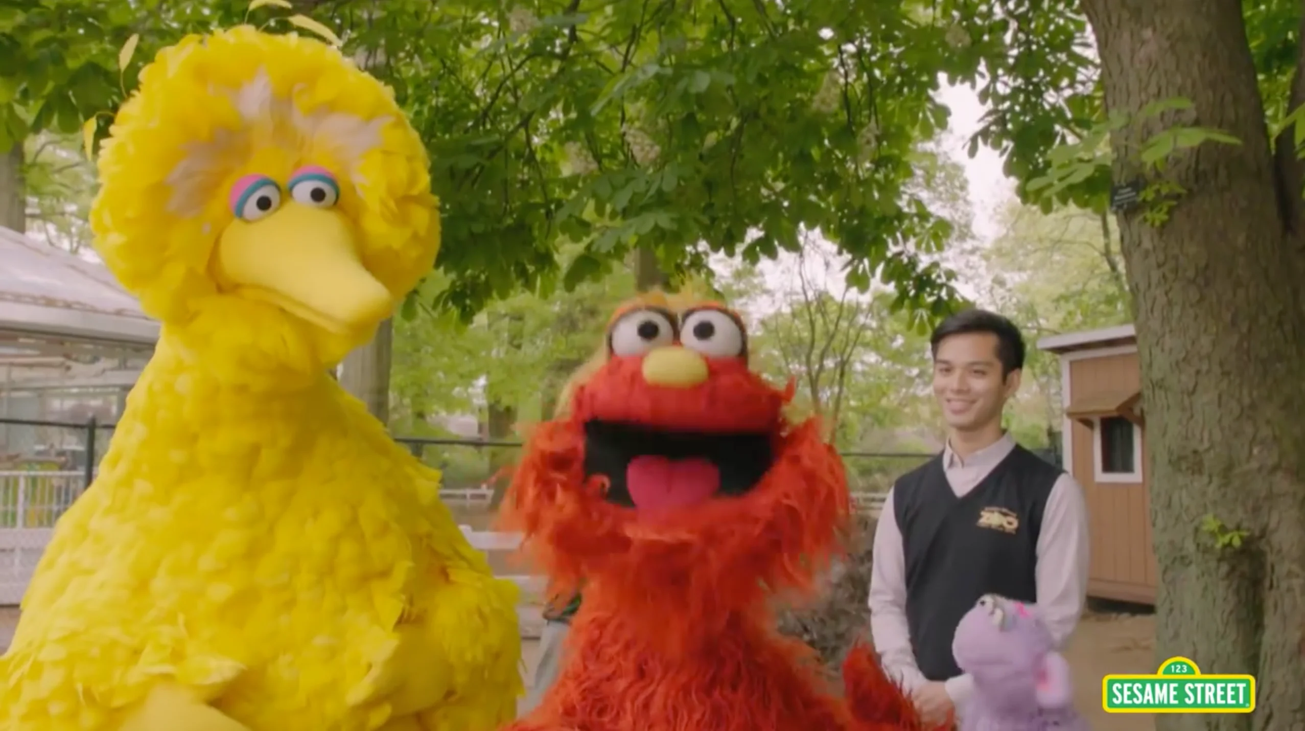 Sesame Street • Murray Learns About Birds