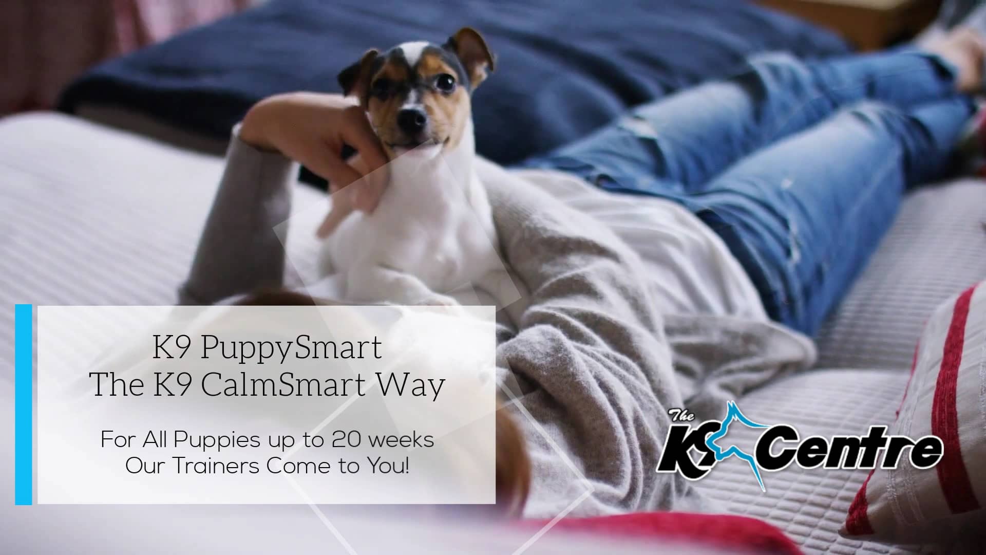 Puppy Training on Vimeo