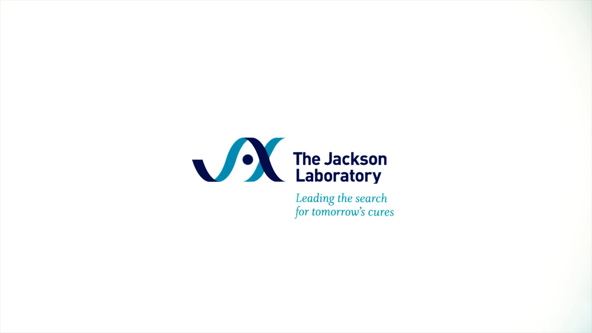 JAX Lab - Stylized Branding on Vimeo