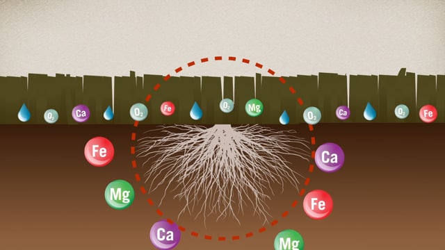 Soil Conditioning Presented by Floratine - GCSAA TV