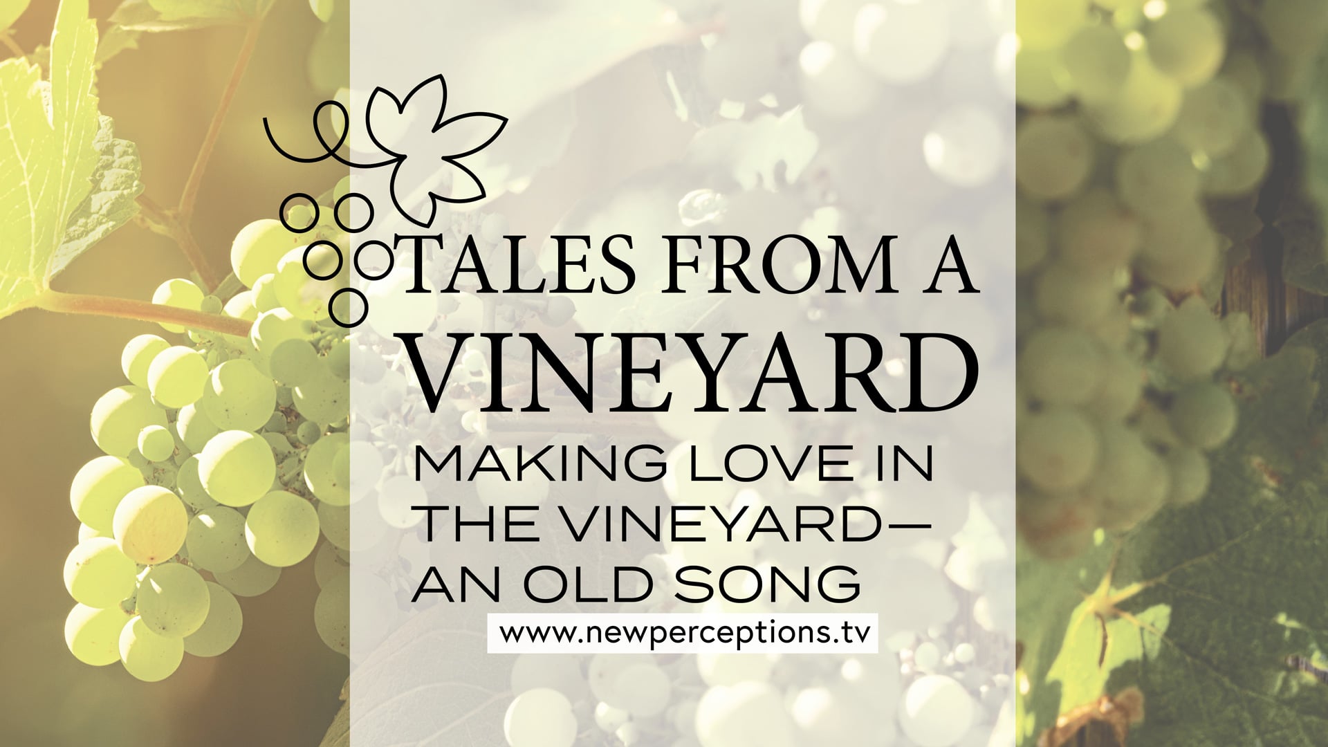 Tales From A Vineyard: Making Love in the Vineyard — An Old Song on Vimeo