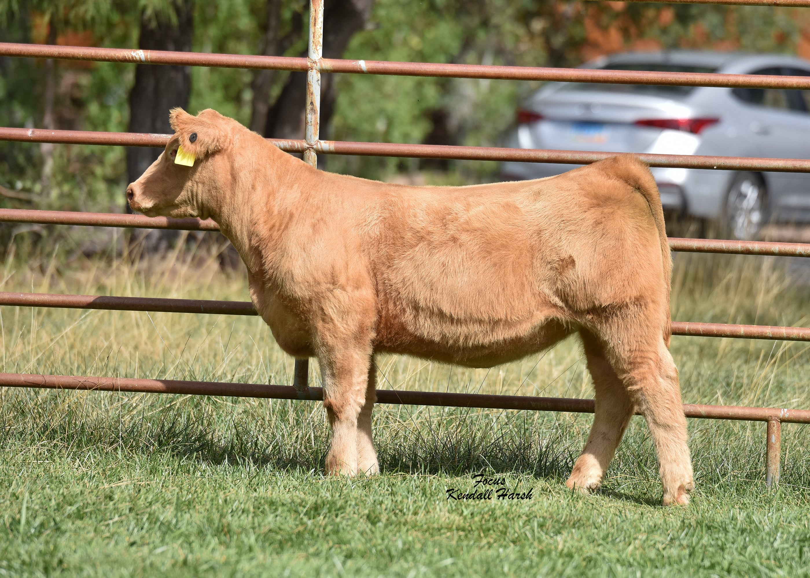 G-Force Tag 9 on Vimeo