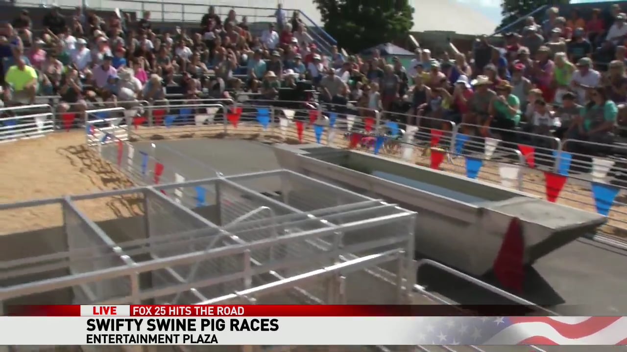 wednesday 091918 state fair pig races kevin bacon wins on Vimeo