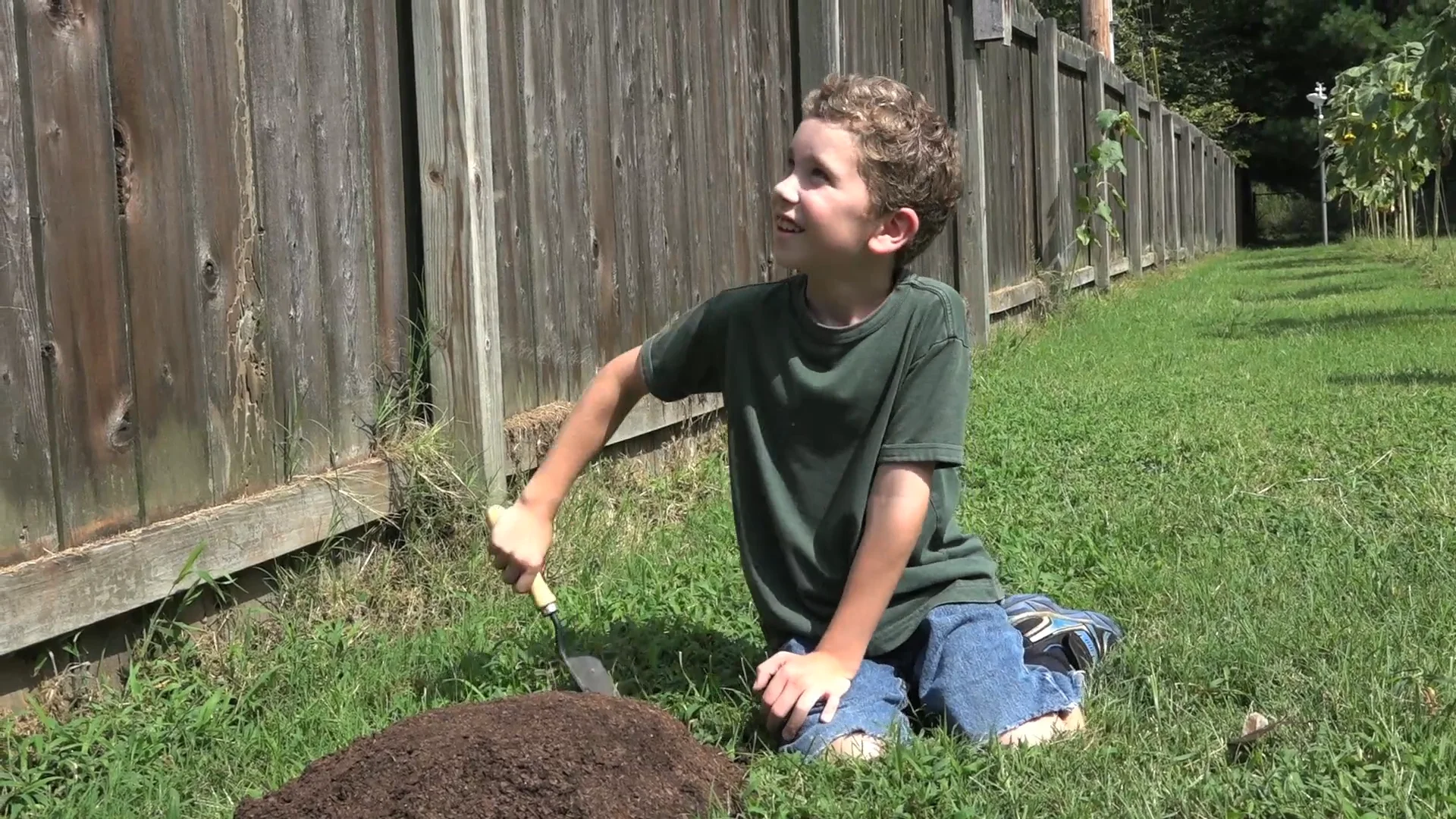 How to Bury a Goldfish on Vimeo