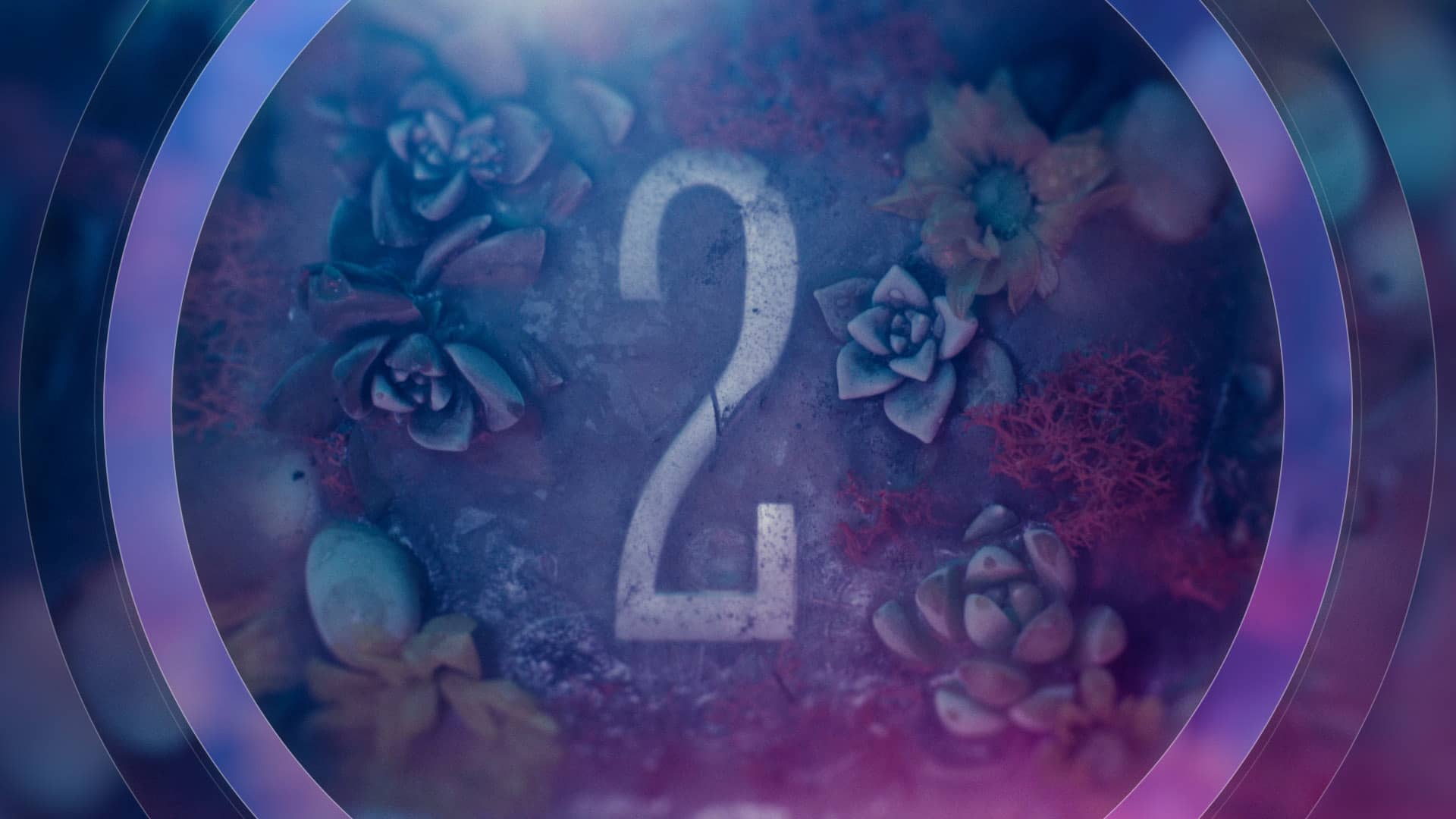 Google Countdown on Vimeo