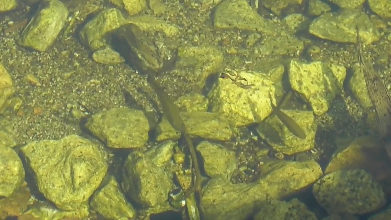 Fishing on Vimeo