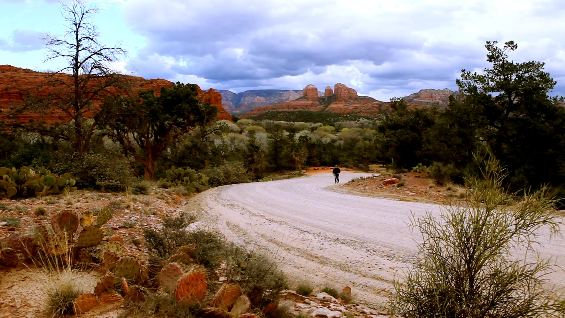 Michael With Masterpiece on Vimeo