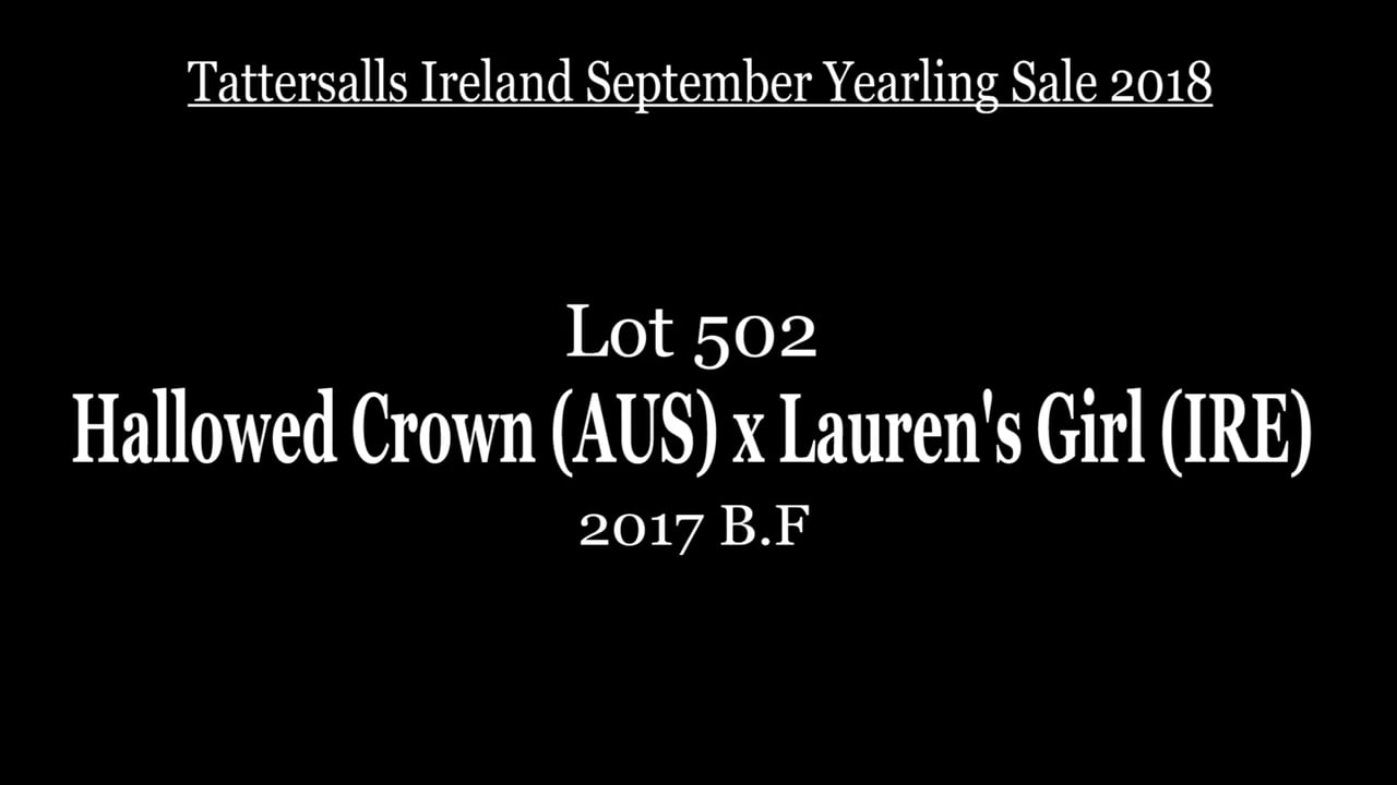 Lot 502 - Hallowed Crown x Laurens Girl on Vimeo