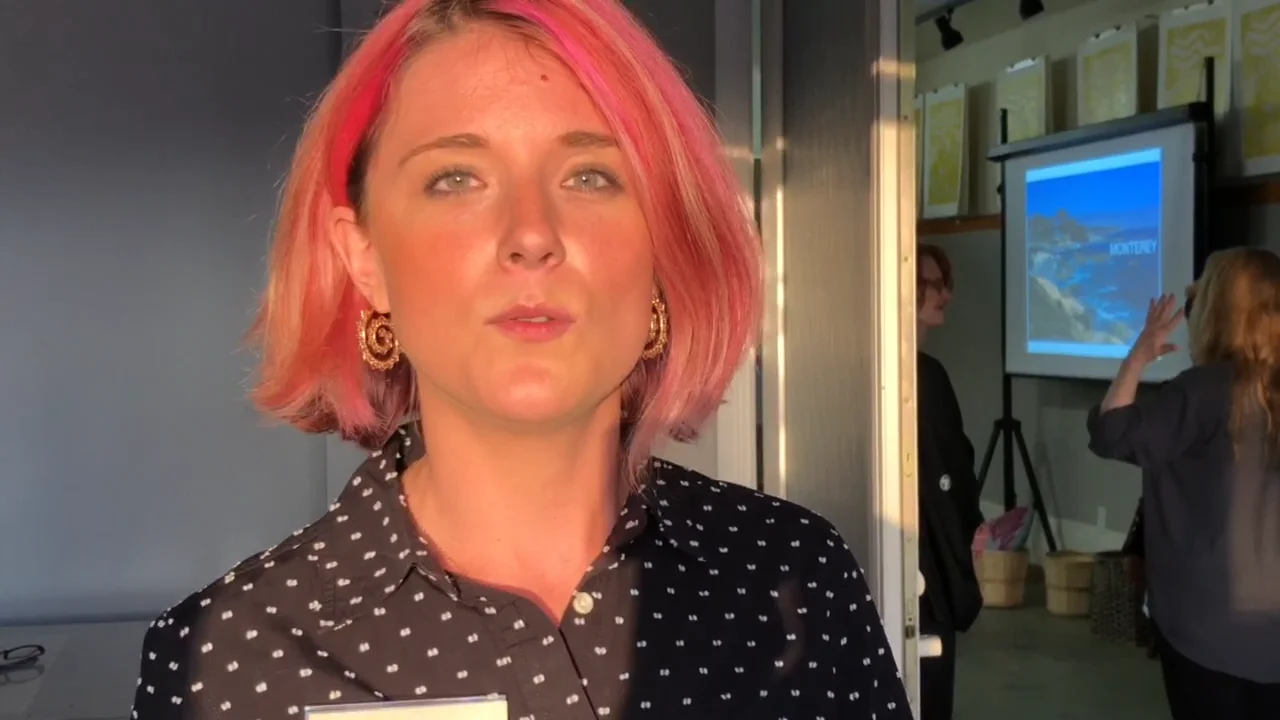 arts habitat promo 1-2018 Lillie Lemon on Vimeo