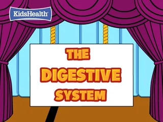 Digestive System - YouTube_3_x264