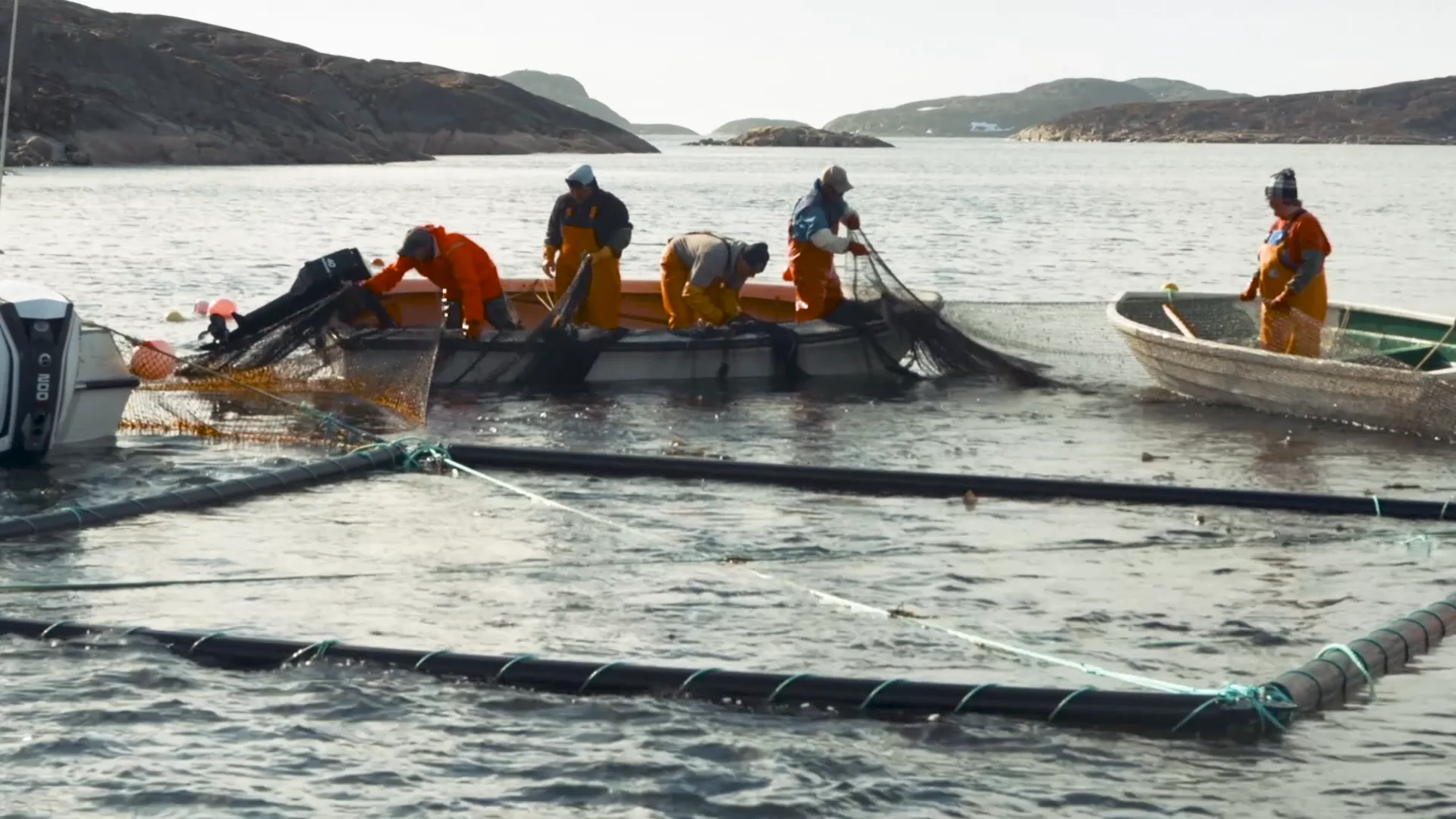 MASTER_NEW COD_Nutaaq Cod vs33_SPECIAL SELECTION RG on Vimeo