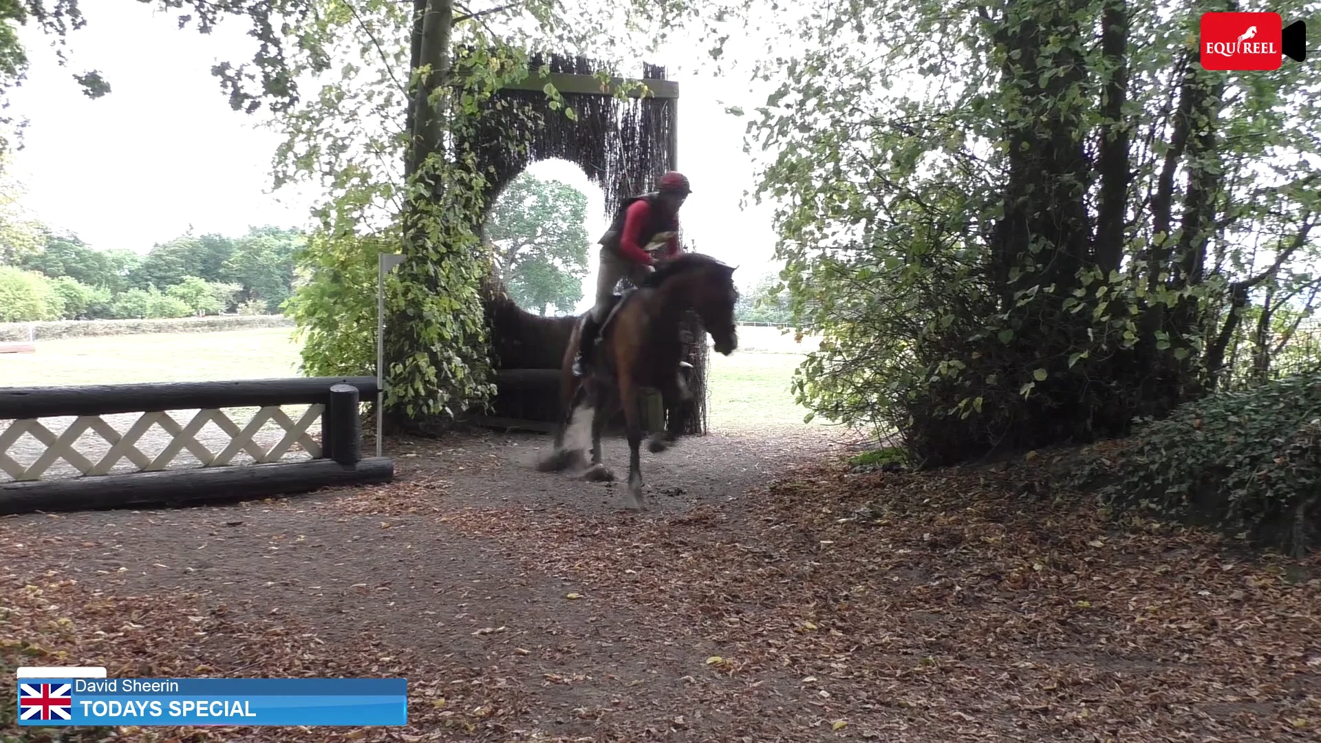 EQUIREEL 729 David Sheerin & TODAYS SPECIAL at PONTISPOOL (2) on Vimeo