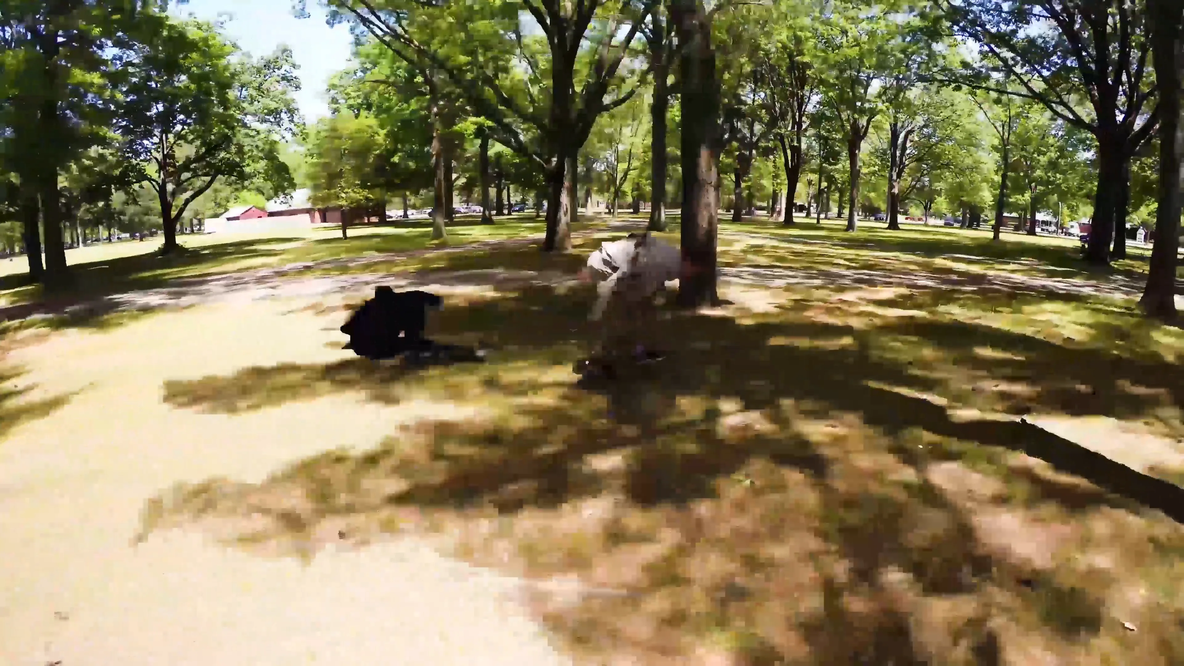 Watch Portal Man Online | Vimeo On Demand on Vimeo