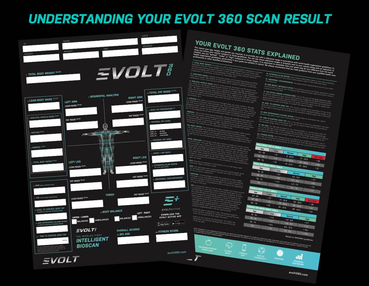 Your Evolt 360 Scan Results on Vimeo