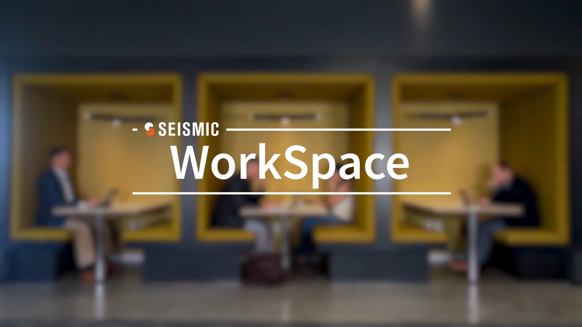 Seismic 101: WorkSpace