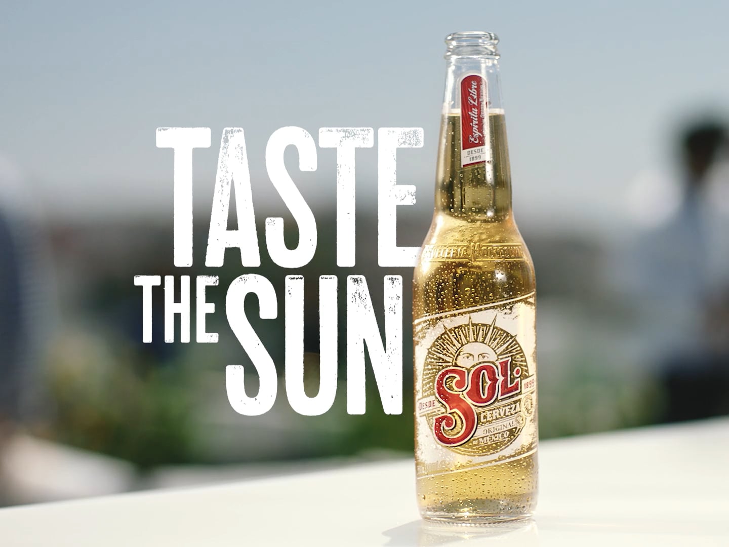 Chaqueta - Taste the Sun on Vimeo