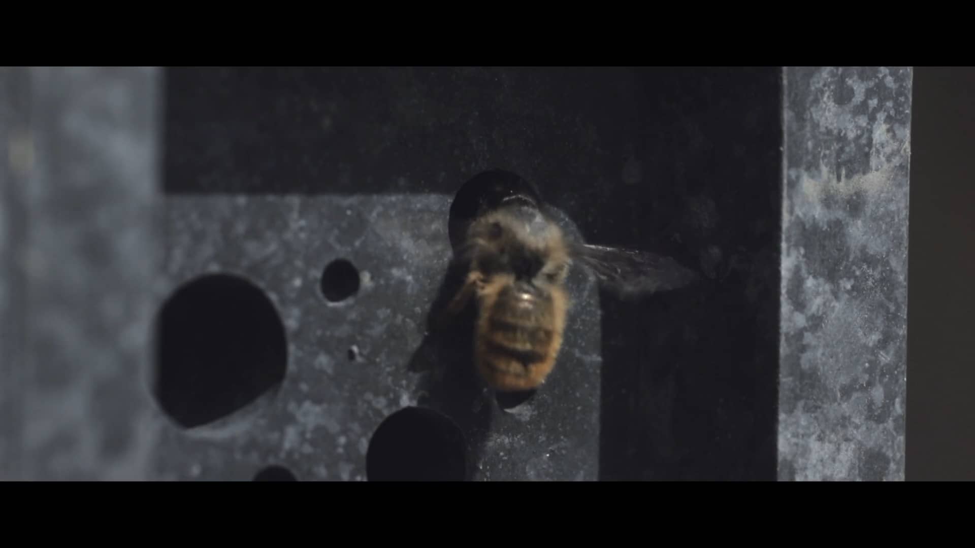 Design the way nature intended on Vimeo