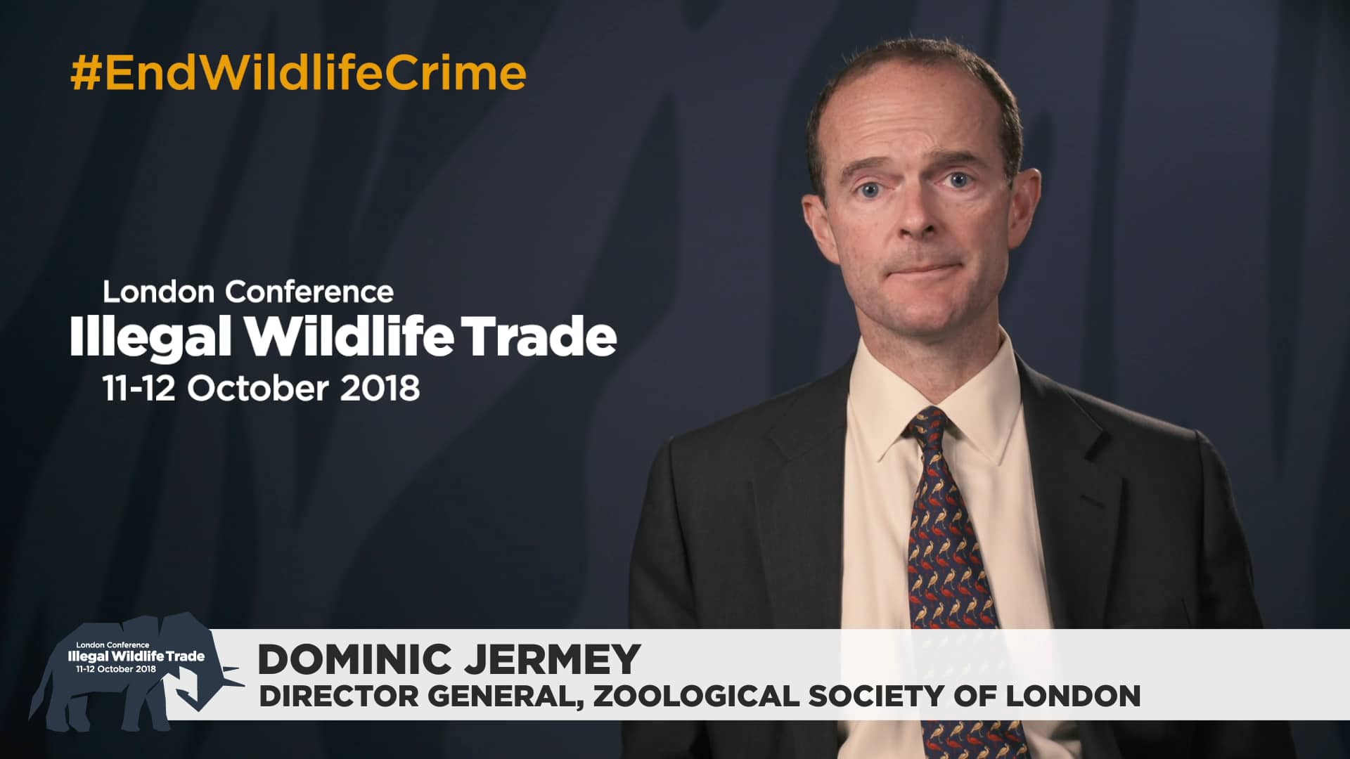 Dominic Jermey_16x9 on Vimeo