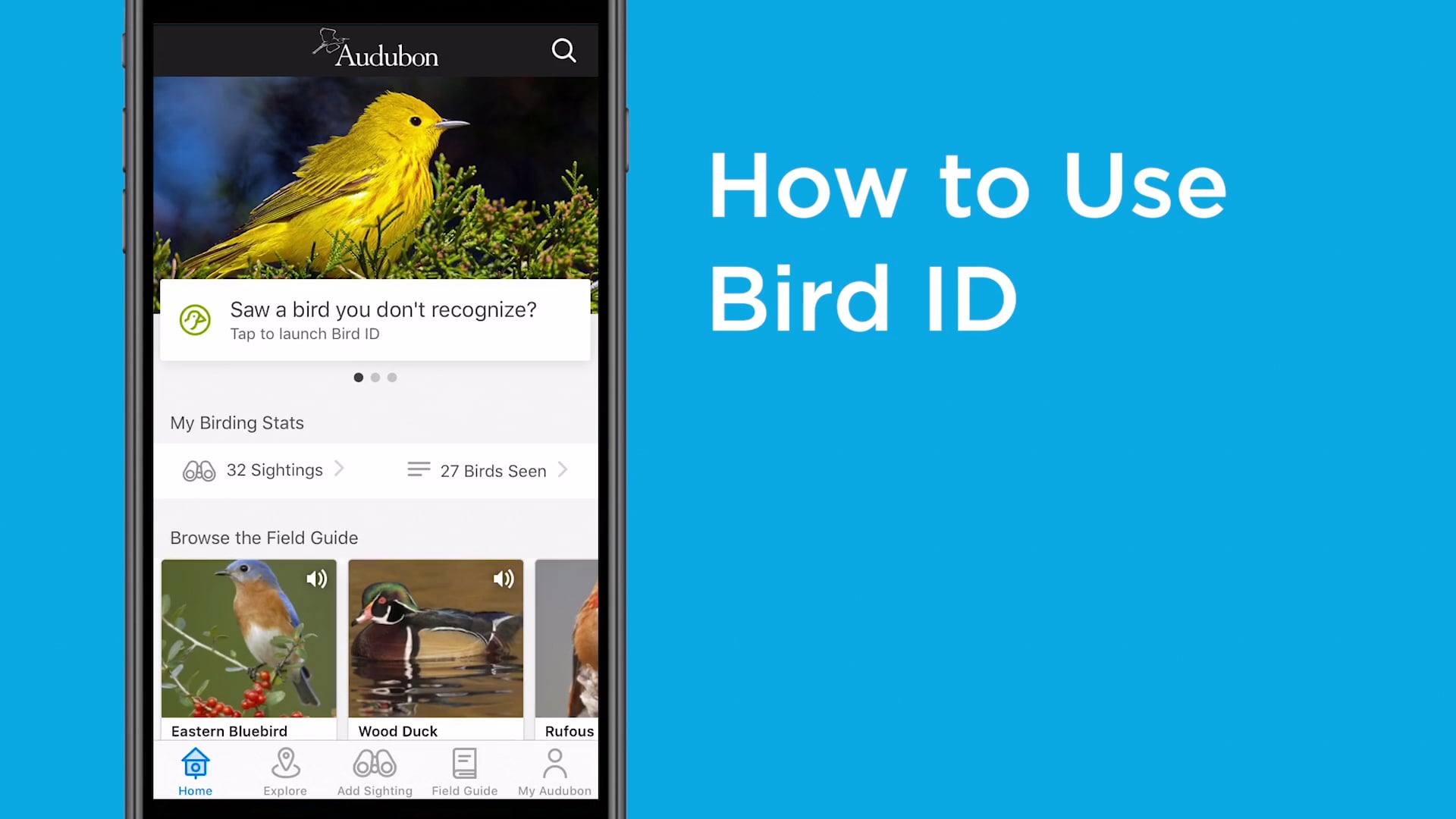 How to use the Audubon Bird Guide app on Vimeo