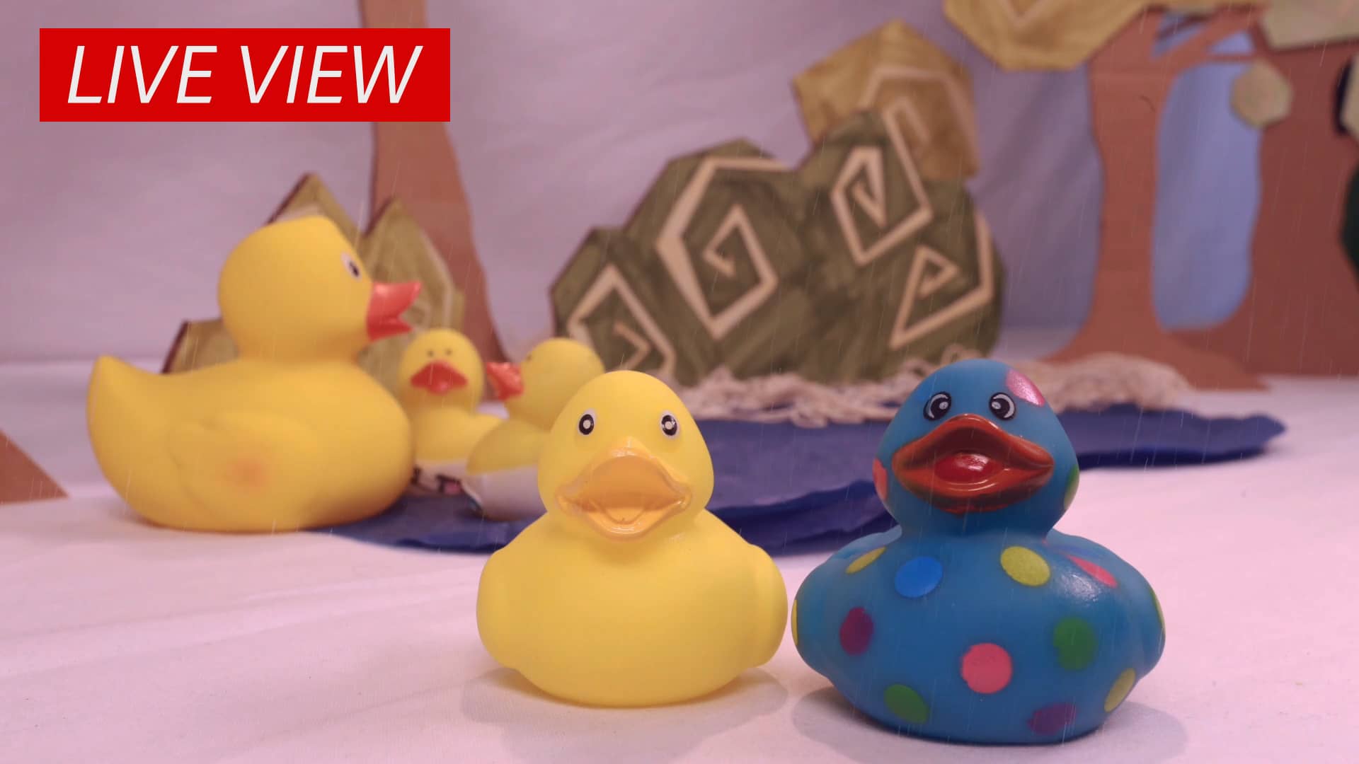 Talk-About Video 8: A Duck Tale on Vimeo