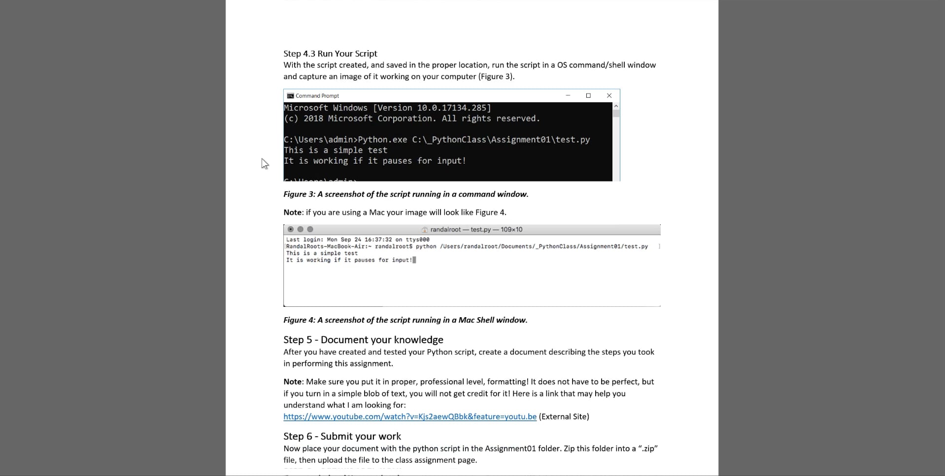 Python Module 01_11 Assignment01 Starter on Vimeo
