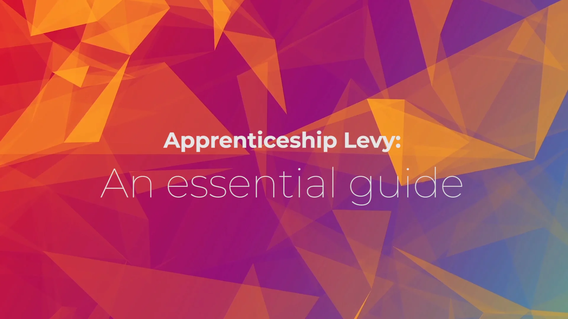 Solvo Vir: Apprenticeship Levy guide with alts - rough cut on Vimeo