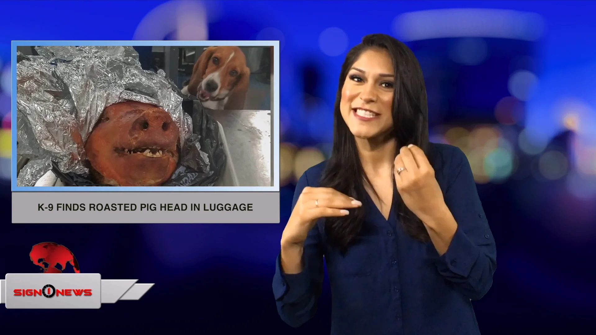 K-9 finds roasted pig head in luggage (ASL - 10.16.18) on Vimeo