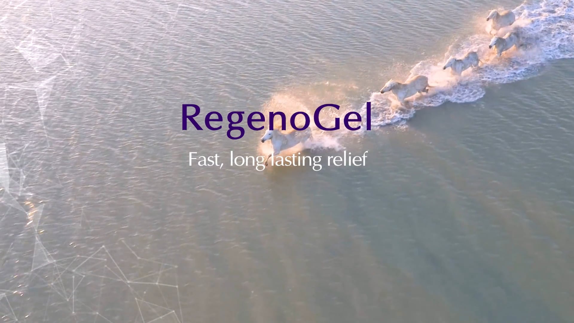RegenoGel - The next Generation treatment for Osteoarthritis on Vimeo