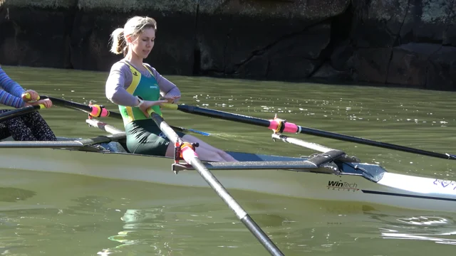 Rowing Oars In Water
