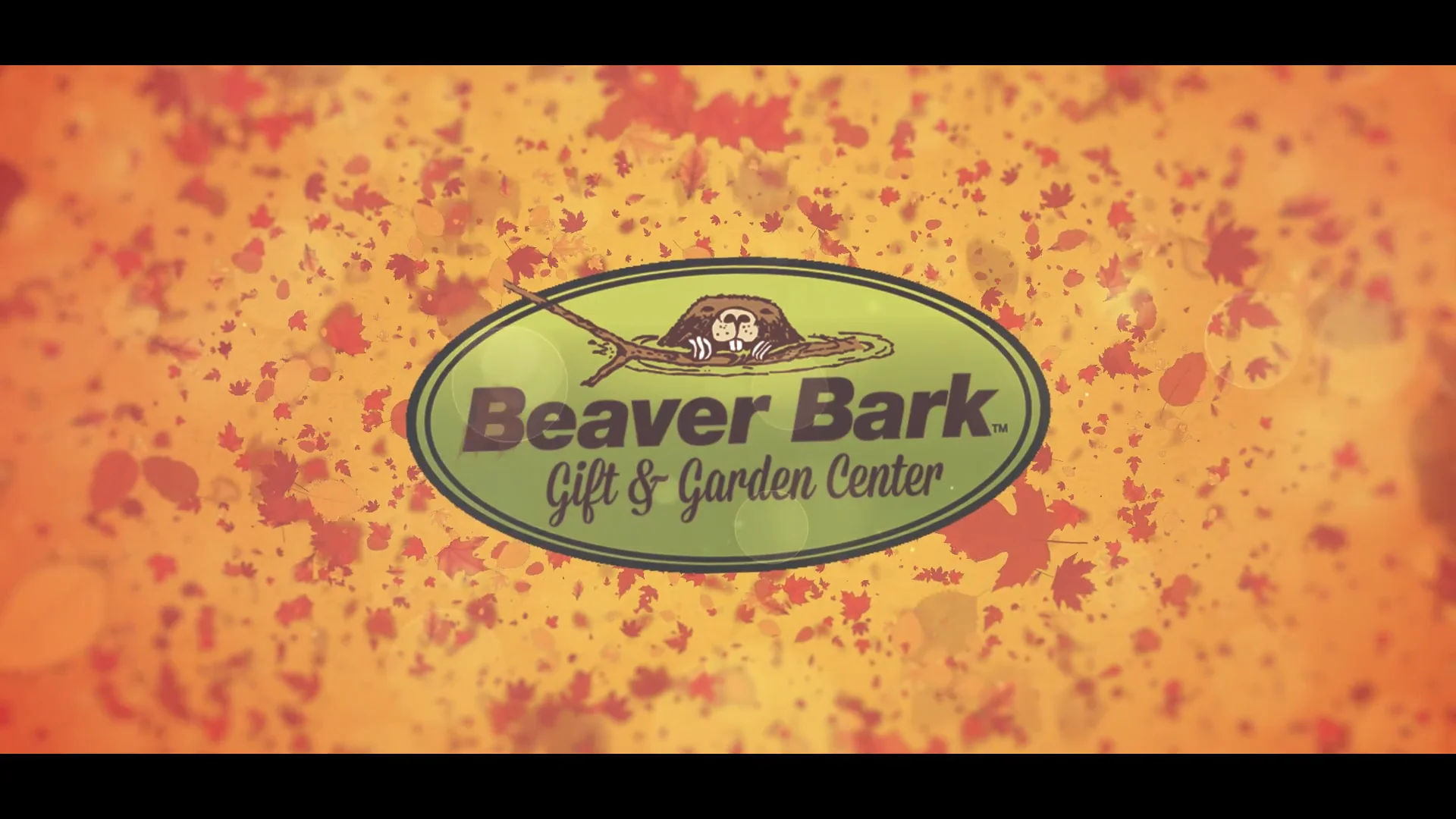 Beaver Bark Fall Video on Vimeo